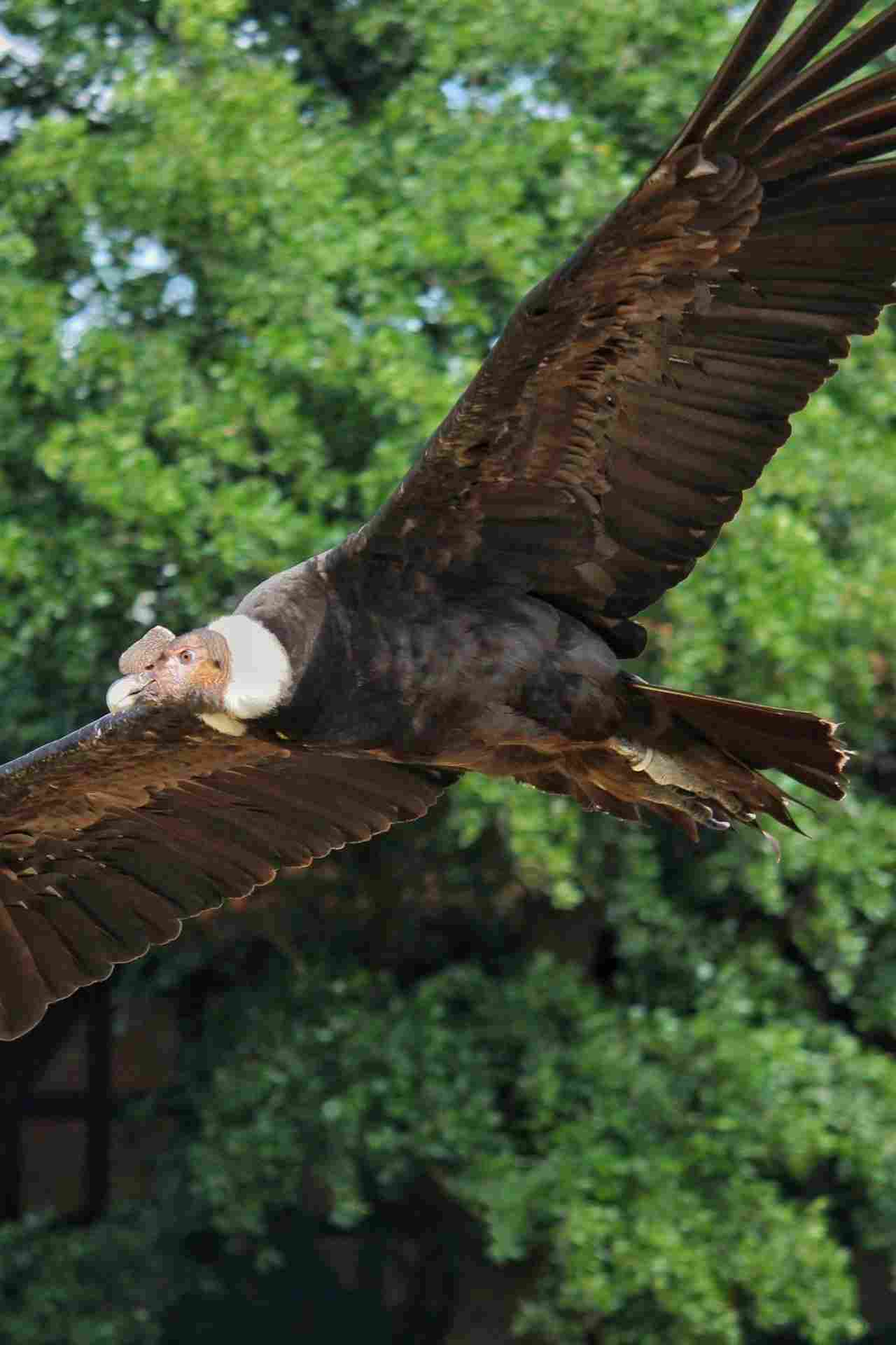 Colombie incontournables - Magelia Colombie - Agence locale Colombie